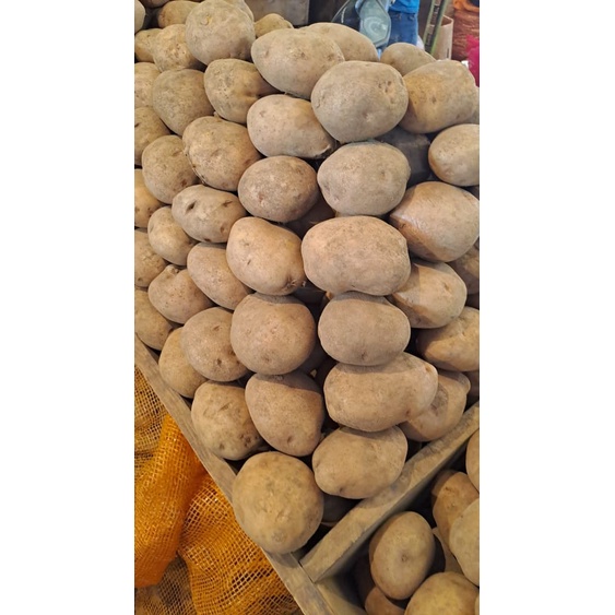 Jual Kentang Dieng Besar 500 gram | Shopee Indonesia