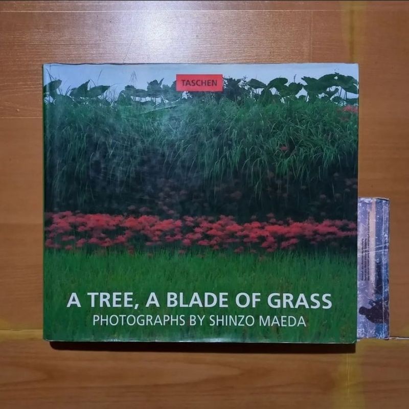 Jual Buku A Tree, A Blade Of Grass - Photographs by Shinzo Maeda ...
