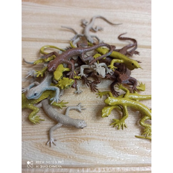 Jual mainan cicak reptil coklat mini satuan | Shopee Indonesia