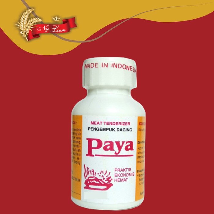 Jual PAYA Pengempuk Daging / Meat Tenderizer 70 gram | Shopee Indonesia