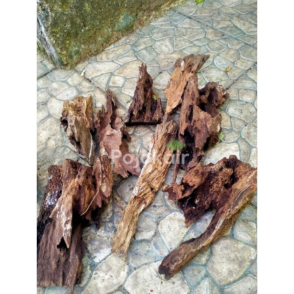 Jual Kayu Rentek Hiasan Aquascape Aquarium | Shopee Indonesia