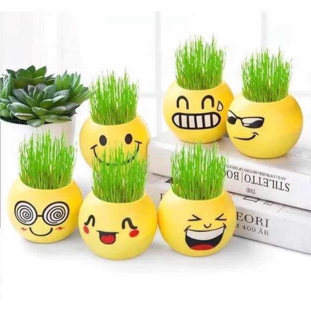 Jual Mini Pot Emoji Vas Bunga Emoticon Pot Plastik Tanaman Hias ...