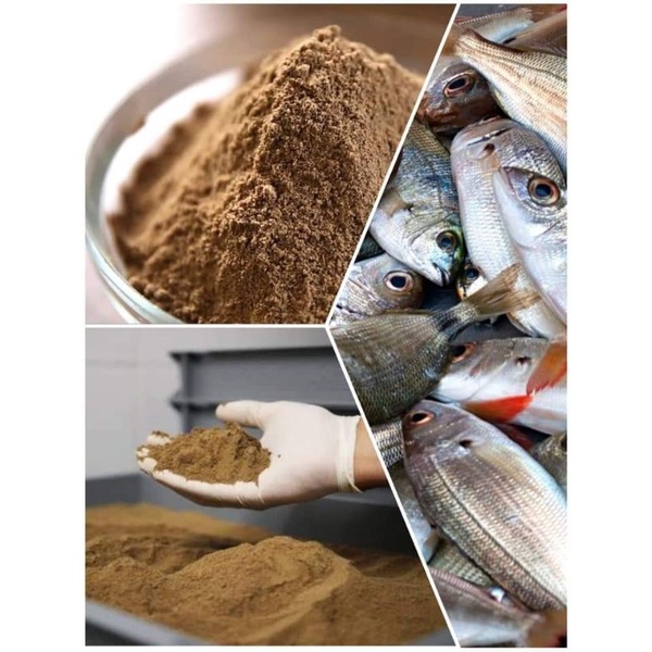 Jual Tepung ikan 50KG | Shopee Indonesia