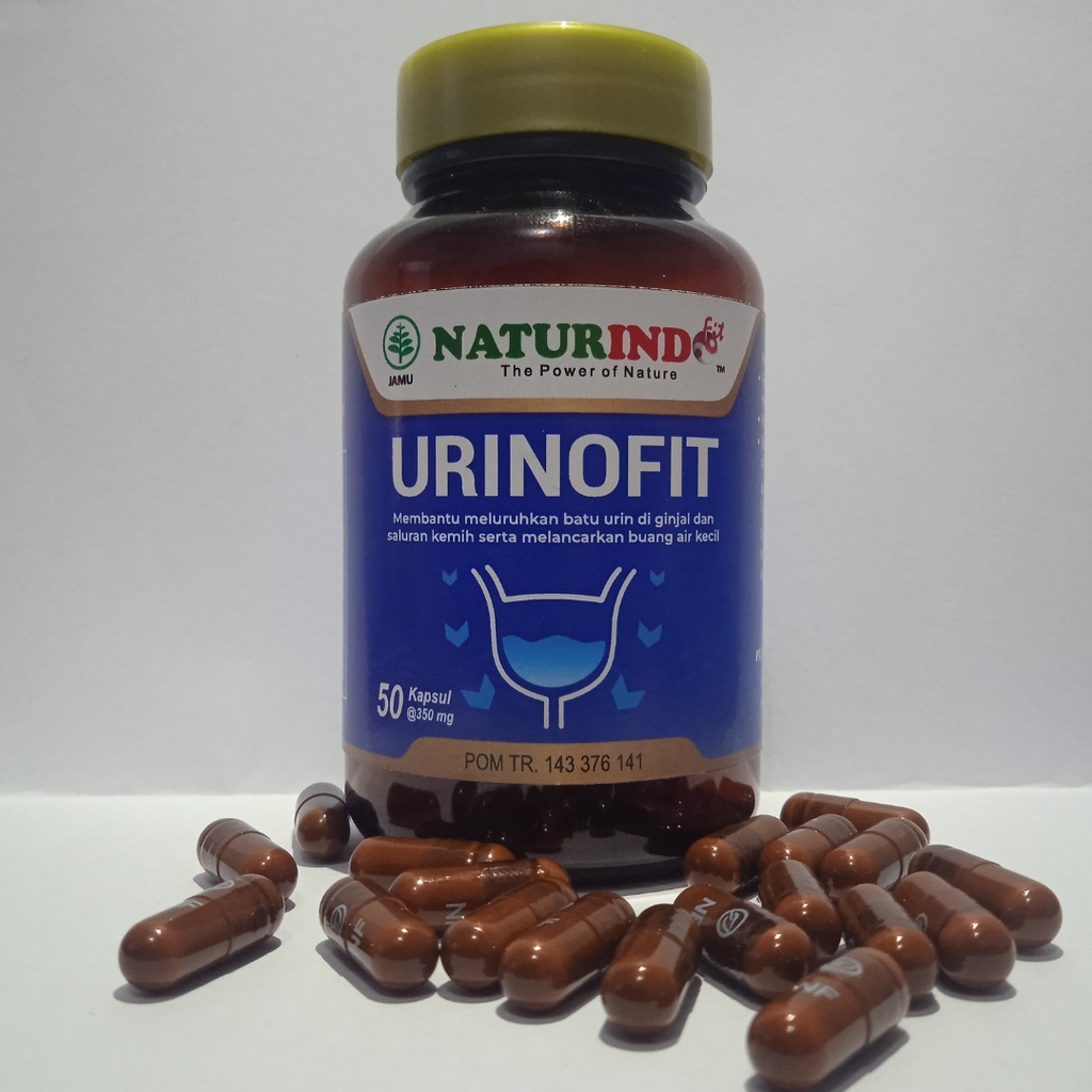 Jual Obat Batu Ginjal Herbal Penghancur Kencing Batu Ginjal Paling ...