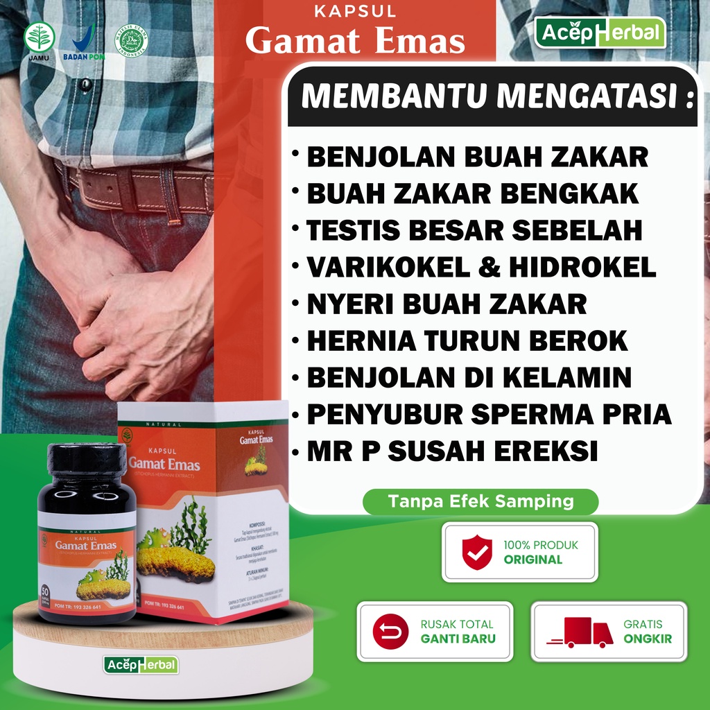 Jual Obat Benjolan Buah Zakar Bentol Di Buah Zakar Testis Besar Buah