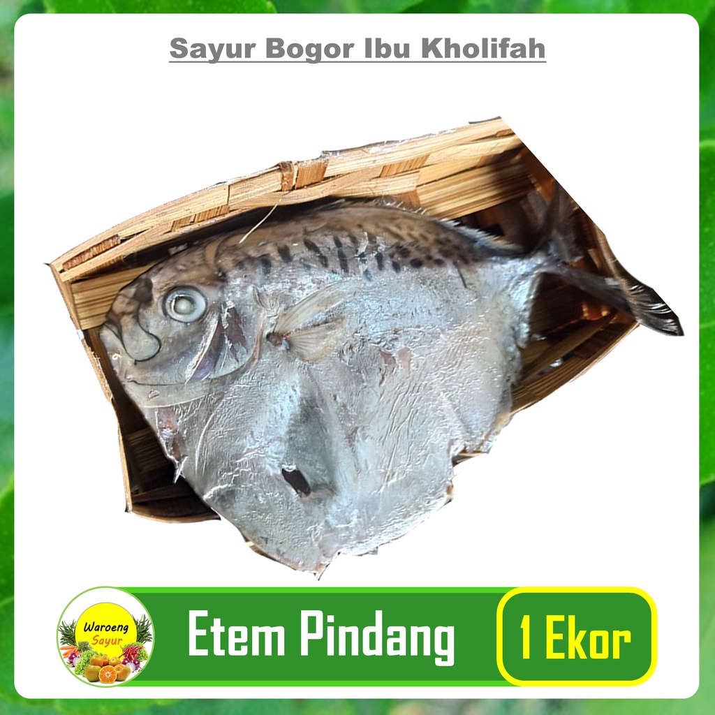 Jual Ikan Etem 1 Ekor Lauk Pauk Ikan Segar Bogor | Shopee Indonesia