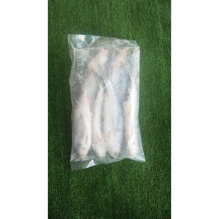 Jual Ikan Bandeng beku/frozen 1 kg | Shopee Indonesia