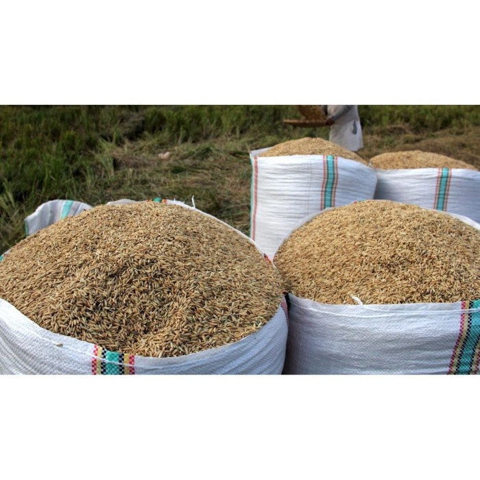 Jual Sekam Padi Original 20 Kg | Shopee Indonesia