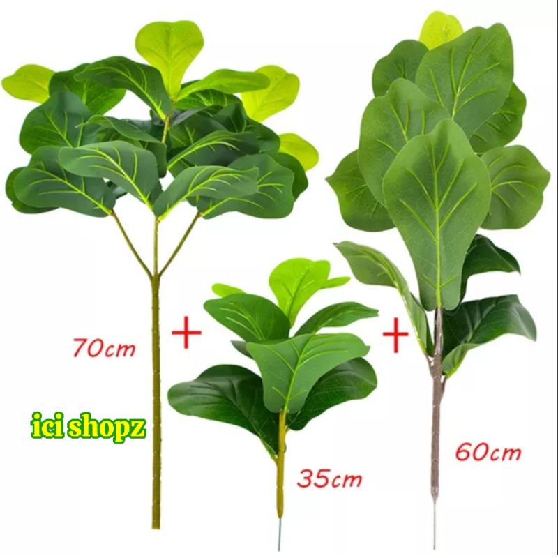 Jual Pohon Ketapang Biola Tinggi 70 cm / Ketapang Artificial | Shopee ...