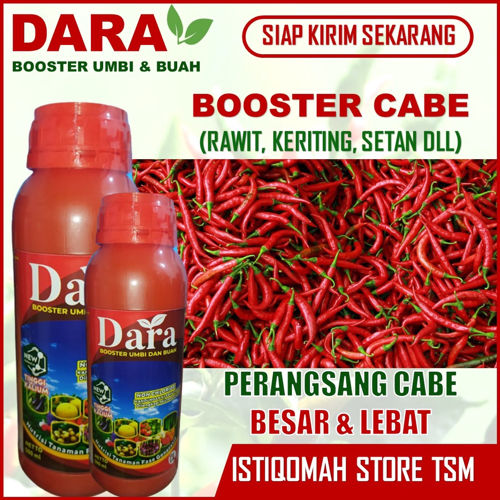 Jual DARA BOOSTER UMBI DAN BUAH NUTRISI TANAMAN FASE GENERATIF Netto ...