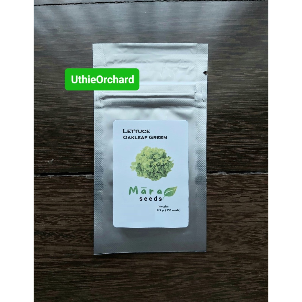 Jual Mara Seeds - Lettuce (Selada) Oakleaf Green (350 seeds) | Shopee ...