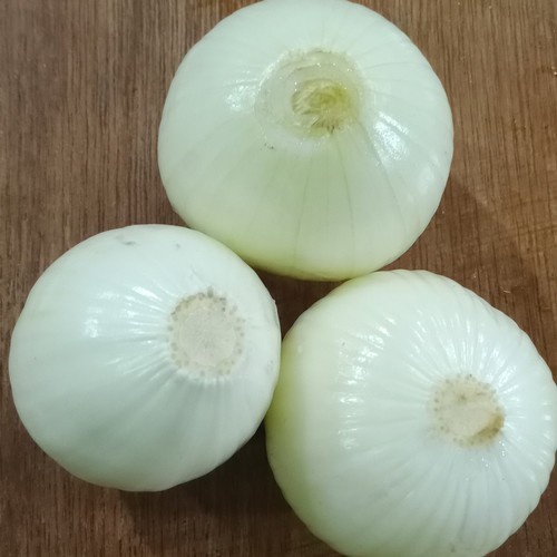 Jual Bawang Bombay Besar Botak 1kg - 05 | Shopee Indonesia