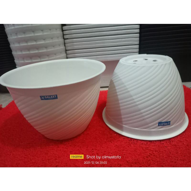 Jual Pot tulip galaxy 20 / pot bunga / pot tanaman / pot murah | Shopee ...