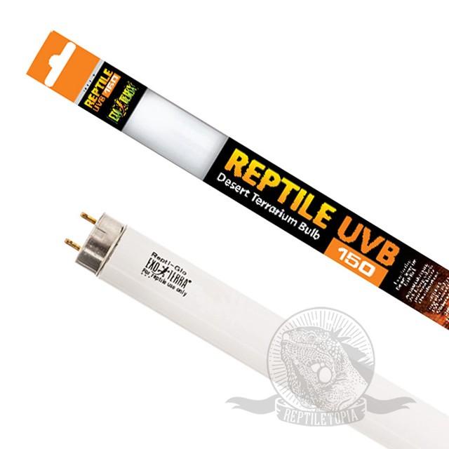 Jual Exoterra UVB 150 18 Watt 60 cm TL linear lampu reptil bukan uva solar | Shopee Indonesia