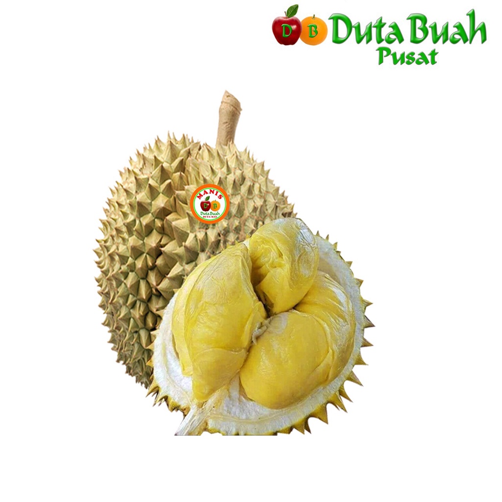 Jual DUTA BUAH DURIAN MONTHONG PALU (+-3.5KG-3.99KG/buah) | Shopee Indonesia