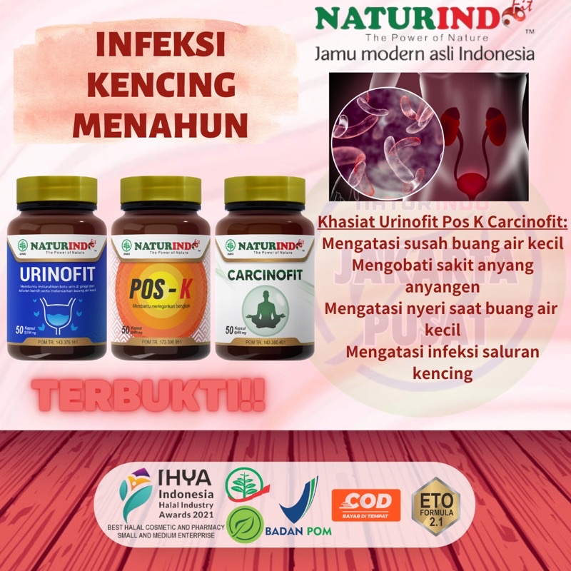 Jual Naturindo Urinofit Obat Herbal Spesialis Meluruhkan Batu Ginjal ...