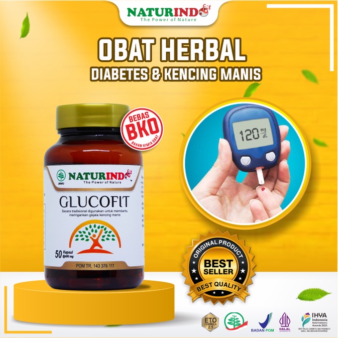 Jual Obat Diabetes Herbal Gula Darah Tinggi Herbal Kering Jamu Diabetes ...
