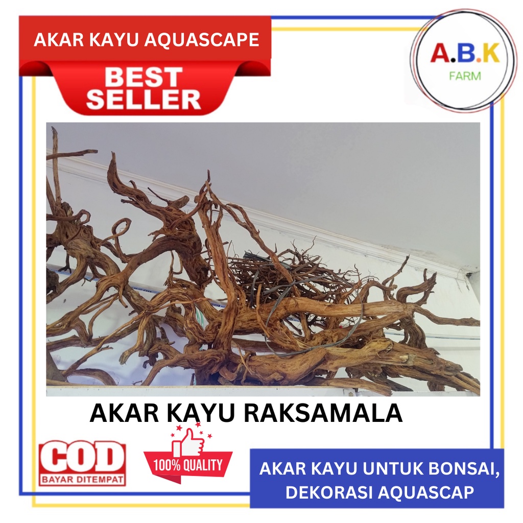 Jual AKAR KAYU RASAMALA RASMALA UNTUK AQUASCAPE SIZE S M L | Shopee ...