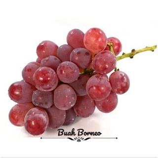 Jual Buah Segar Anggur 1 Kg | Shopee Indonesia