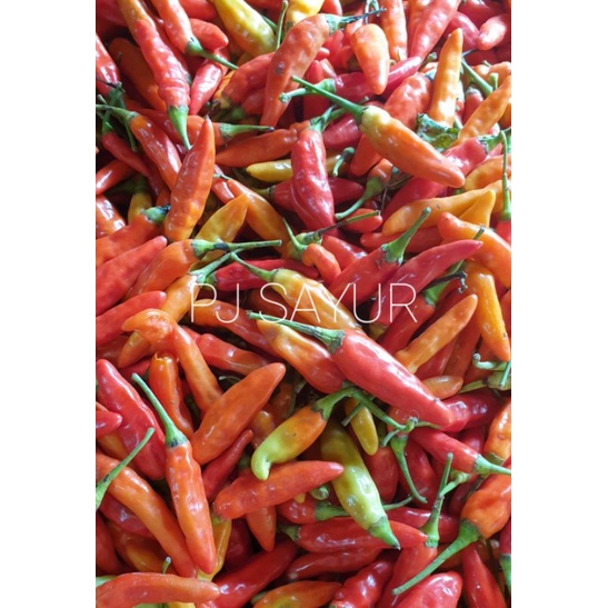 Jual cabe rawit merah / cabe setan 1 kg | Shopee Indonesia