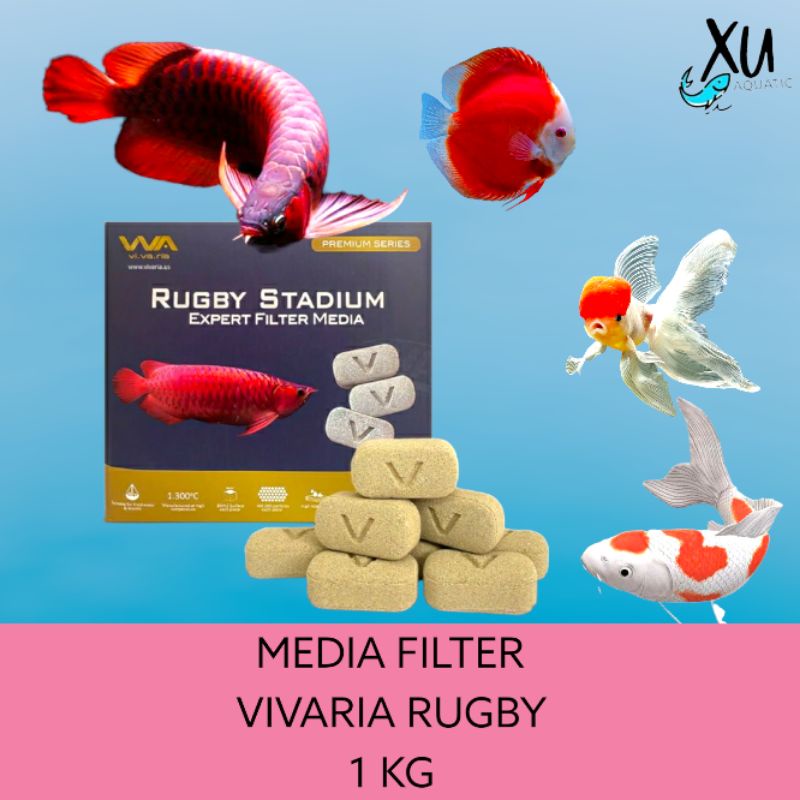 Jual VIVARIA RUGBY STADIUM RUGBY 1 KG MEDIA FILTER BIOLOGIS RUMAH ...