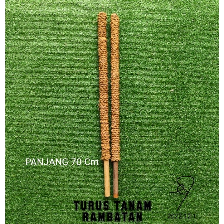 Jual TURUS TANAMAN RAMBAT UKURAN PANJANG 70CM | Shopee Indonesia