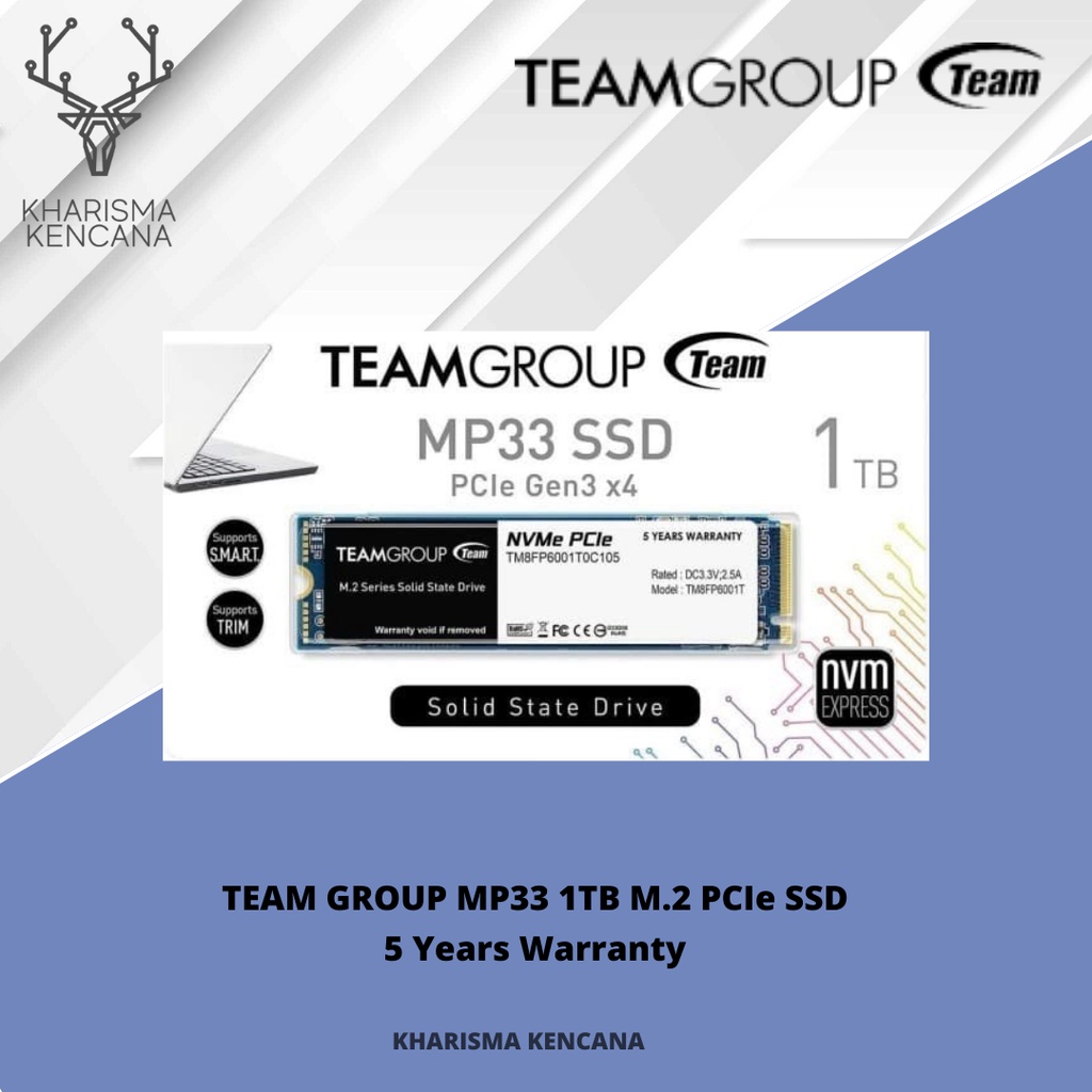 Jual SSD NVME TEAM GROUP MP33 1 TB PCIe 3x4 5 Tahun Garansi Resmi ...