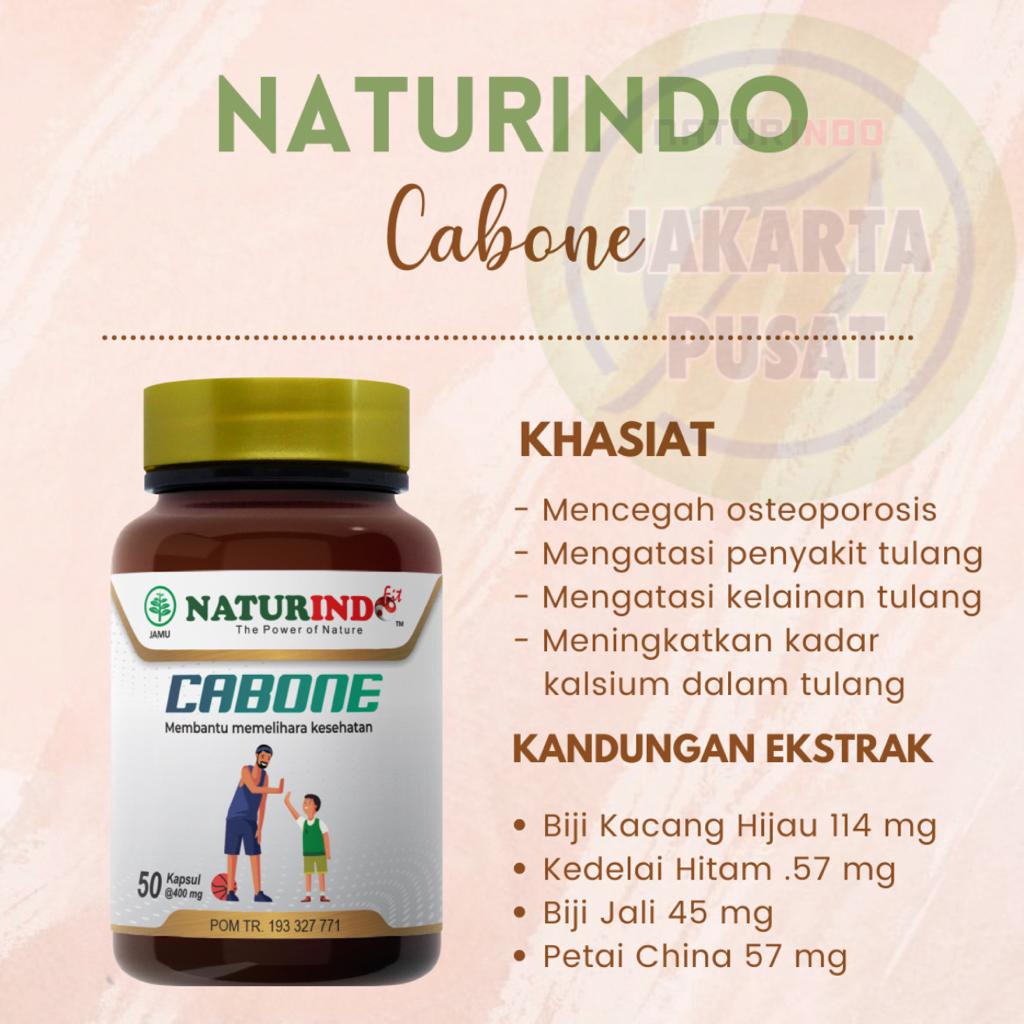 Jual Obat herbal tulang dan sendi kaki tangan retak patah ekor belakang ...
