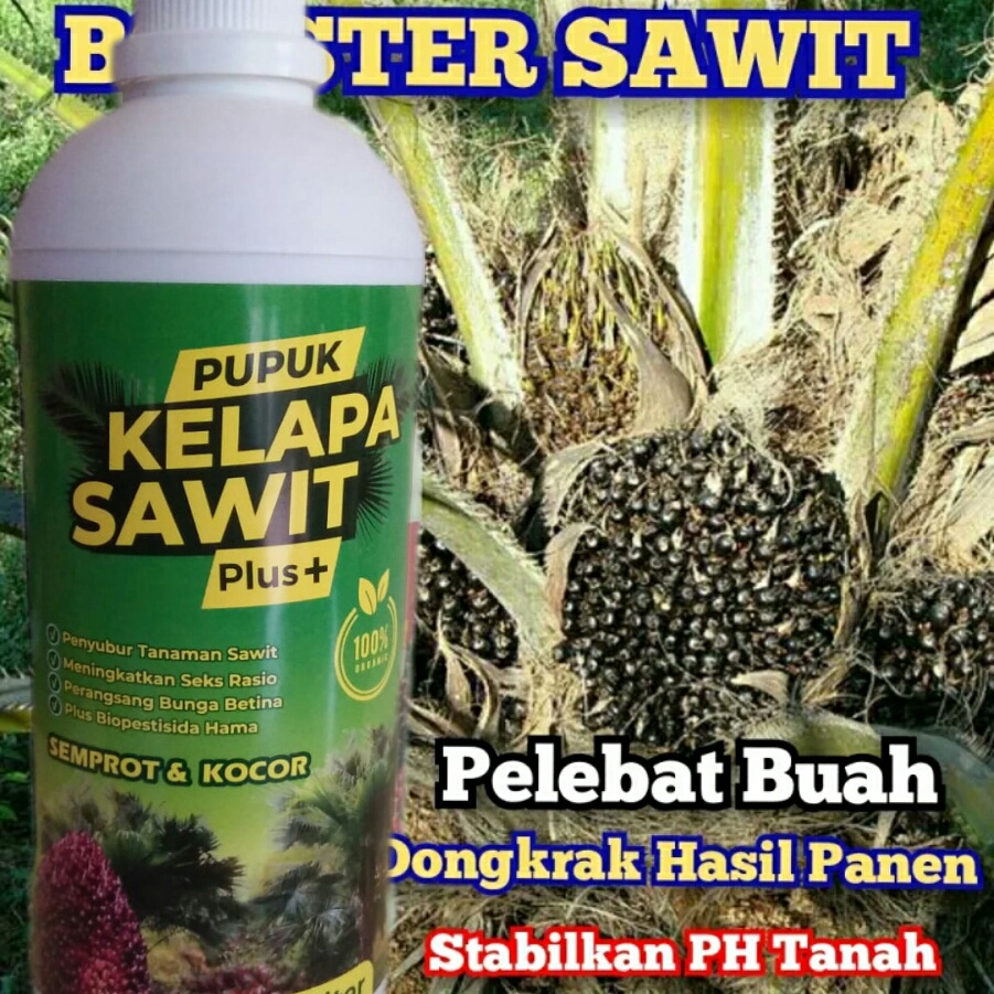 Jual Pupuk Sawit Organik 1Liter Pelebat Sawit Perangsang Bunga Terbaik untuk reproduksi dan ...