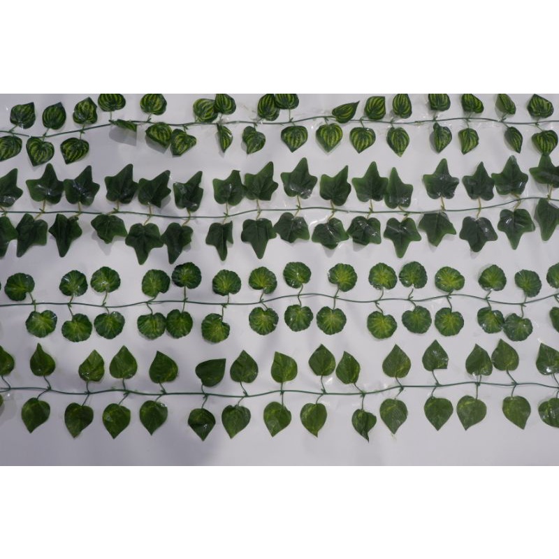 Jual Daun Rambat Panjang 2,4 meter Hiasan Dinding Artificial Hias Taman ...