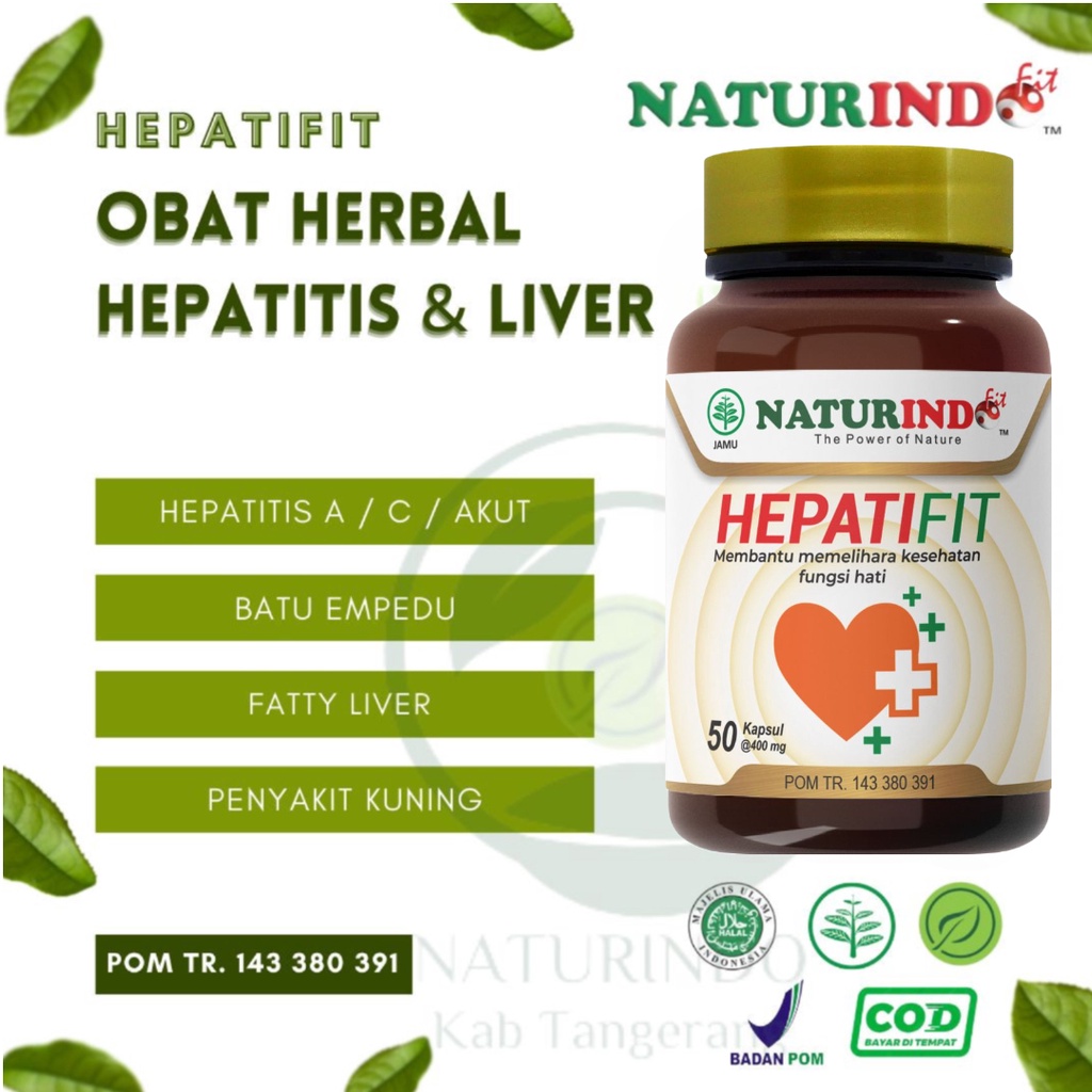 Jual Naturindo Hepatifit Herbal Obat Alergi Liver Yang Bengkak ...