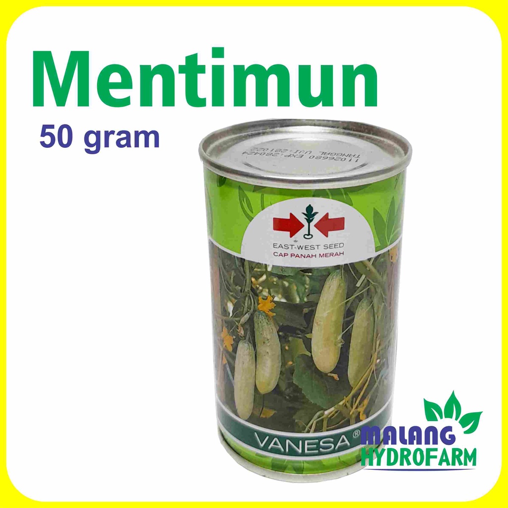 Jual Benih Mentimun Vanesa 50 gram Cap Panah Merah dataran rendah ...