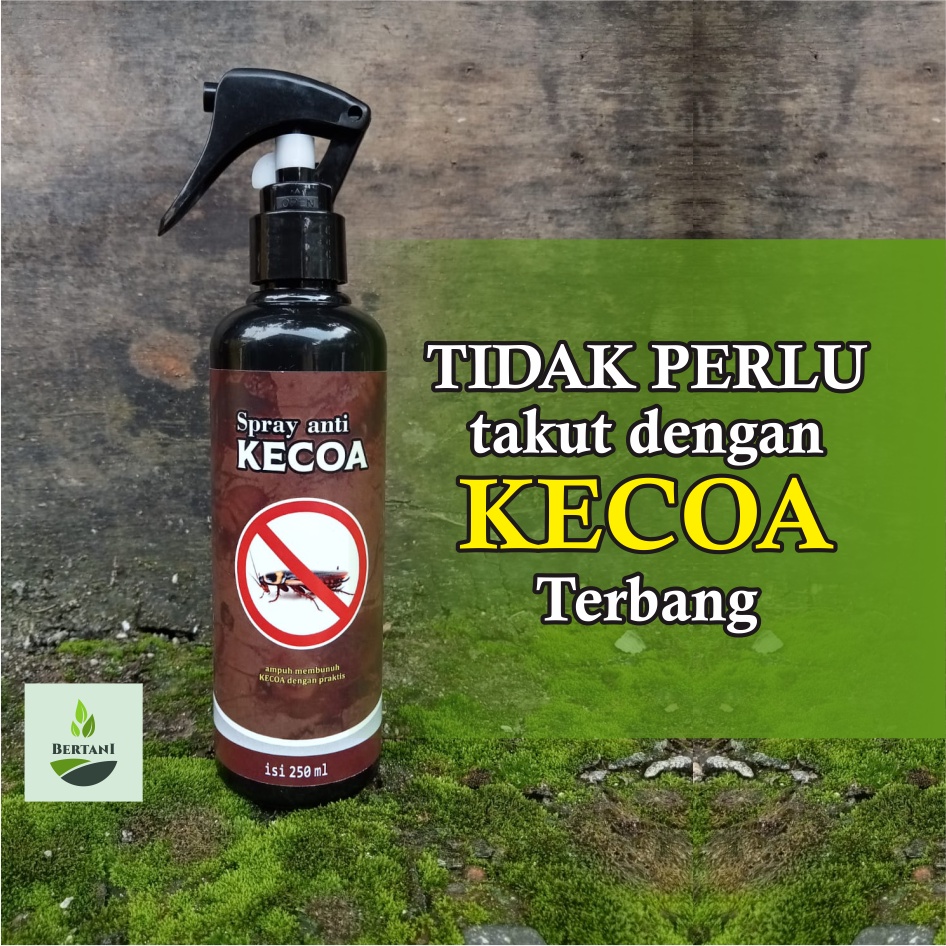Jual Pembasmi Kecoa SUPER AMPUH / Racun Kecoa / Obat Kecoa untuk di ...