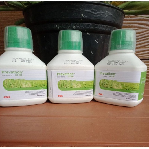 Jual insektisida PREVATHON 50SC 250ml Insetisida Prevaton Pembasmi Hama ...