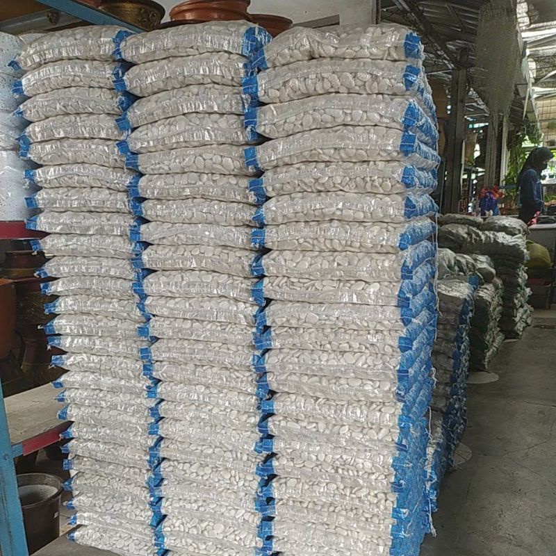 Jual BATU HIAS KORAL PUTIH KUPANG KARUNG 12 KG/BATU TAMAN/BATU PUTIH ...