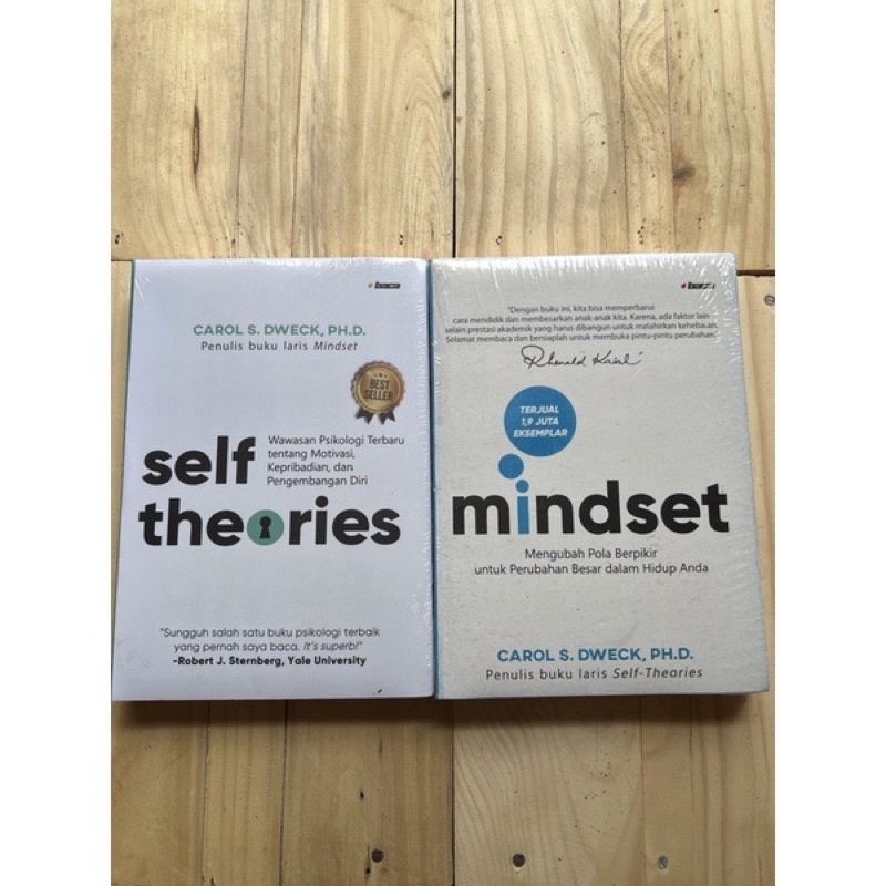 Jual PAKET 2 BUKU MINDSET - SELF THEORIES | Shopee Indonesia