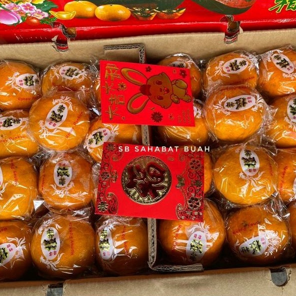 Jual BUAH JERUK PONKAM HDL GIFT GROSIR PER DUS ISI 9KG | Shopee Indonesia