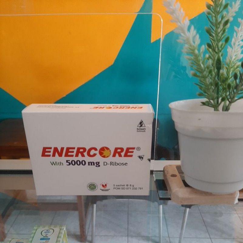 Jual ENERCORE BOX 5 SACHET | Shopee Indonesia