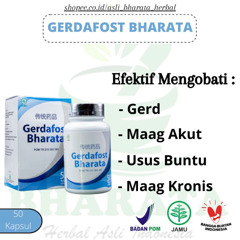 Jual Obat Gerd | Obat maag Akut / Kronis | Obat Usus Buntu | Gerdafost ...