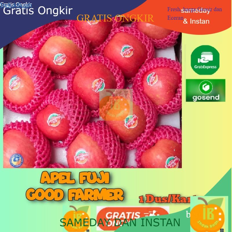 Jual Indukbuah Buah Apel Fuji Premium Good Farmer 1 dus 17 kg isi 100 ...