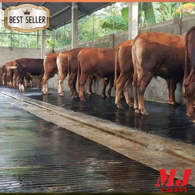 Jual Karpet Alas Kandang Sapi Kuda Kambing dll 122x183cm 14mm | Shopee ...