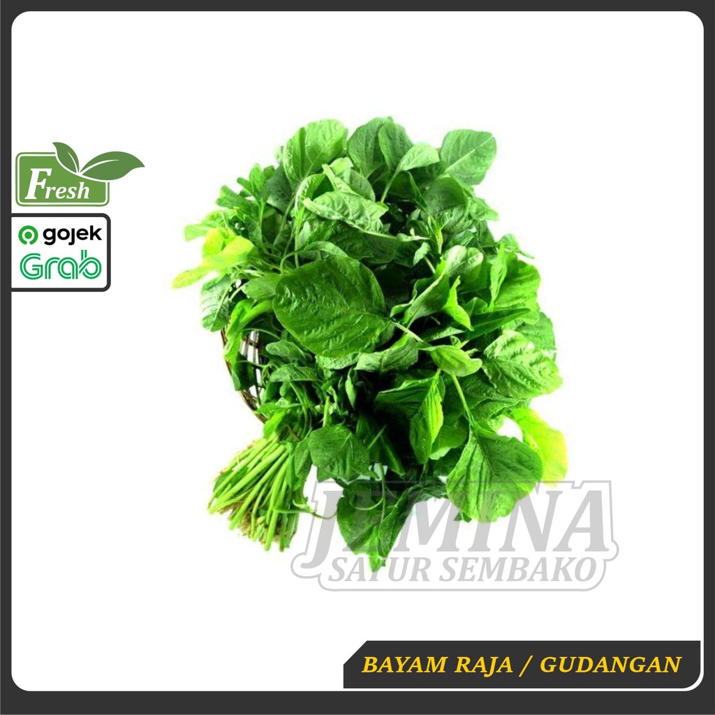 Jual Bayam Gudangan 1 ikat / Bayam Raja / Gudang per ikat - Sayur Jogja ...