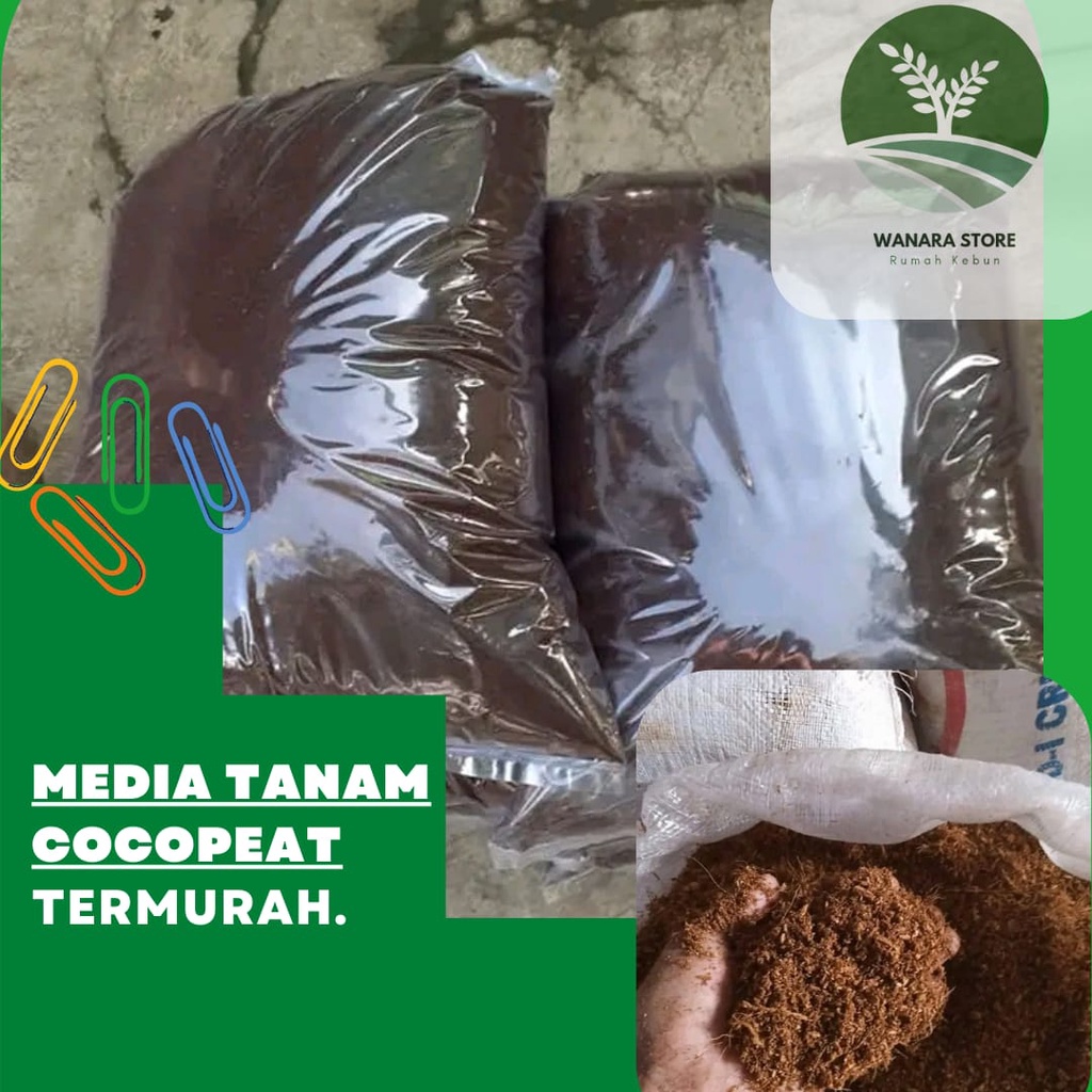 Jual Media Tanam Cocopeat Kokopit Halus Termurah | Shopee Indonesia