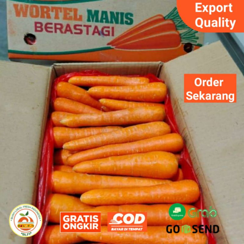 Jual WORTEL BERASTAGI BESAR PER SATU DUS BERAT 10KG | Shopee Indonesia