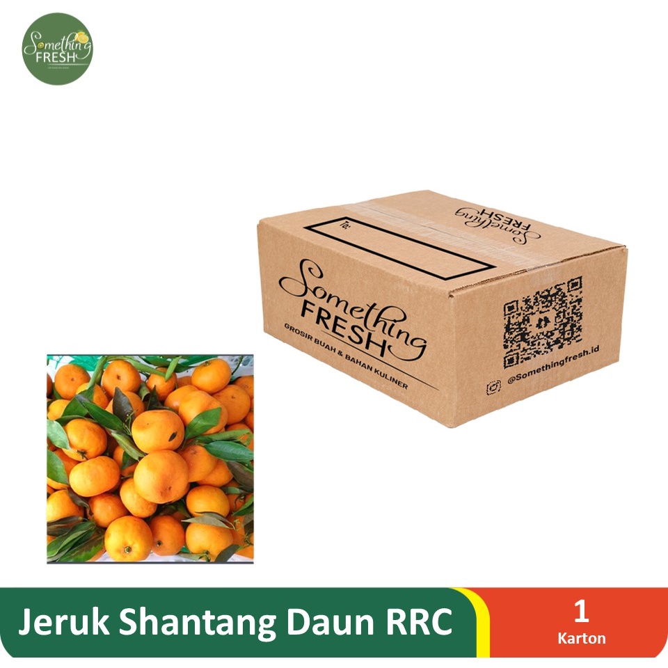 Jual Jeruk Shantang Daun per Carton | Shopee Indonesia