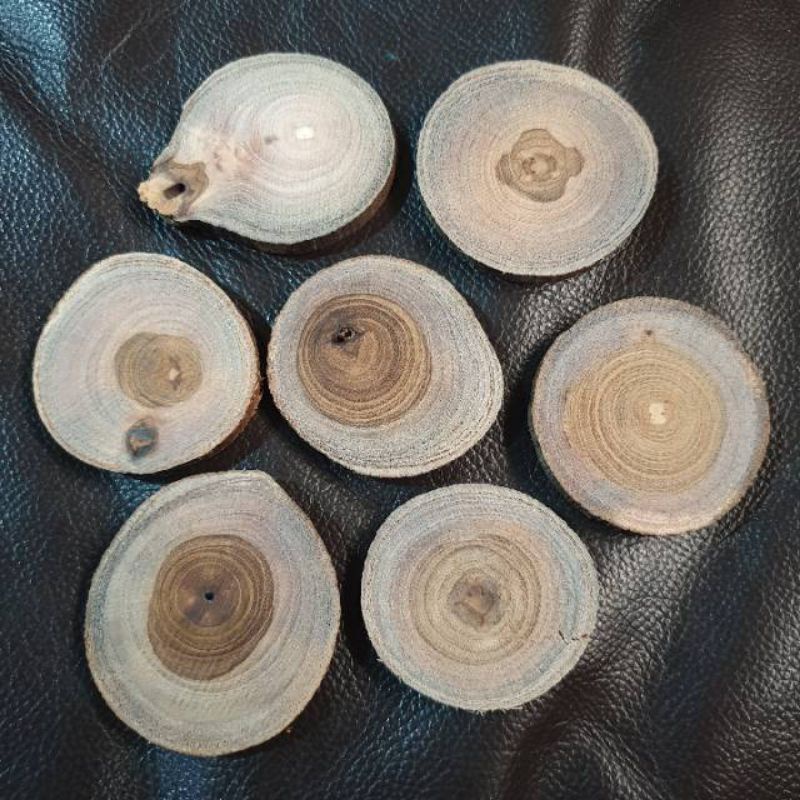 Jual Wood slice potongan kayu jati. ranting kayu jati kering. potongan ...