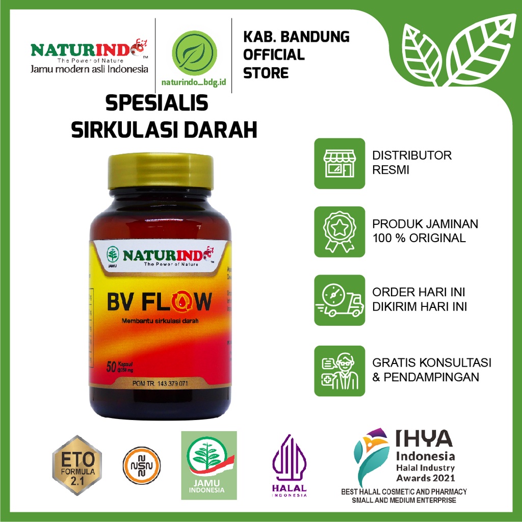 Jual NATURINDO BV Flow Obat Pengencer Darah Herbal Jamu Kesemutan Dan ...