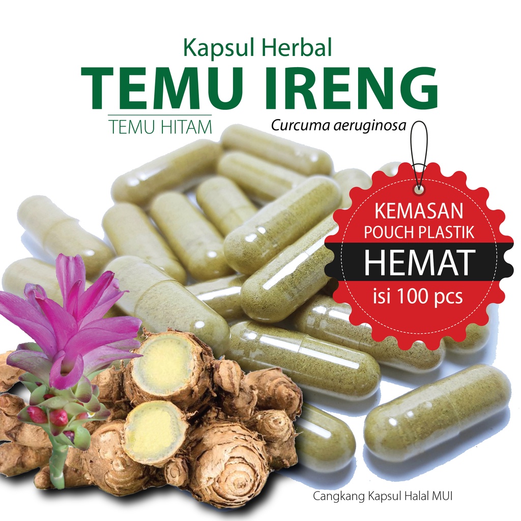 Jual TEMU IRENG Kapsul Herbal Kemasan Hemat - isi 100 pcs | Shopee ...