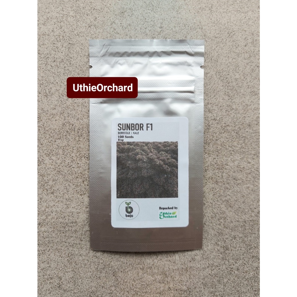 Jual Benih Bejo Seed - Red Kale Curly Sunbor F1 Kemasan 100 Seeds ...