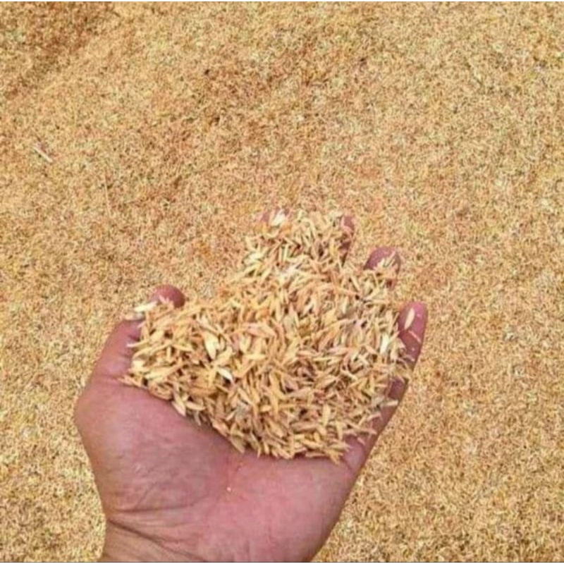 Jual Gabah kering, sekam mentah, media tanam, repack, gembur | Shopee ...